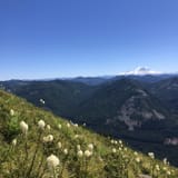 Bandera Mountain Summit, Washington - 1,615 Reviews, Map | AllTrails