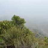 Whiting Ranch Trail, California - 1,841 Reviews, Map | AllTrails