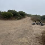 Whiting Ranch Trail, California - 1,841 Reviews, Map | AllTrails