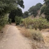 Whiting Ranch Trail, California - 1,841 Reviews, Map | AllTrails