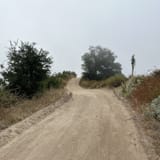 Whiting Ranch Trail, California - 1,841 Reviews, Map | AllTrails