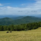 Bearwallow Mountain Trail, North Carolina - 3,298 Reviews, Map | AllTrails