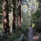 Bootjack Loop, California - 2,014 Reviews, Map | AllTrails