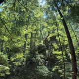 Bootjack Loop, California - 1,989 Reviews, Map | AllTrails