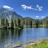 Officers Gulch, Colorado - 762 Reviews, Map | AllTrails