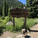 Forest Lakes Trail, Colorado - 958 Reviews, Map | AllTrails