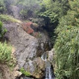 Temescal Canyon Trail, California - 10,890 Reviews, Map | AllTrails