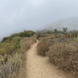 Temescal Canyon Trail, California - 10,890 Reviews, Map | AllTrails