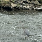 David J Culham Trail, Ontario, Canada - 1,303 Reviews, Map | AllTrails