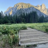 Sentinel Meadow Cook's Meadow Loop Trail, California - 3,765 Reviews ...