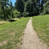 Washington Park Loop, Oregon - 1,763 Reviews, Map | AllTrails