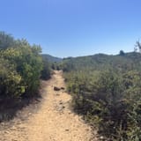 Inspiration Point, California - 3,743 Reviews, Map | AllTrails