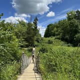 Flat Fork Ridge Trail, Ohio - 1,386 Reviews, Map | AllTrails