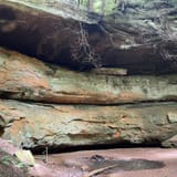 Whispering Cave - Cedar Falls Loop, Ohio - 875 Reviews, Map | AllTrails