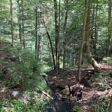Whispering Cave - Cedar Falls Loop, Ohio - 932 Reviews, Map | AllTrails