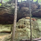 Whispering Cave - Cedar Falls Loop, Ohio - 969 Reviews, Map | AllTrails