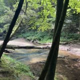Whispering Cave - Cedar Falls Loop, Ohio - 969 Reviews, Map | AllTrails