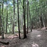 Whispering Cave - Cedar Falls Loop, Ohio - 969 Reviews, Map | AllTrails