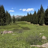 Shrine Ridge Trail, Colorado - 3,269 Reviews, Map | AllTrails