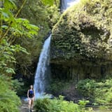 Latourell Falls Loop, Oregon - 7,156 Reviews, Map | AllTrails