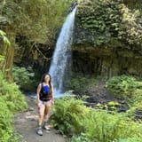 Latourell Falls Loop, Oregon - 7,156 Reviews, Map | AllTrails