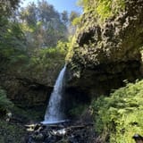 Latourell Falls Loop, Oregon - 7,156 Reviews, Map | AllTrails