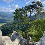 Seneca Rocks Trail, West Virginia - 3,088 Reviews, Map | AllTrails