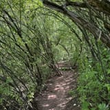 Skippack Creek Loop Trail, Pennsylvania - 4,003 Reviews, Map | AllTrails