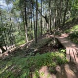 Skippack Creek Loop Trail, Pennsylvania - 4,003 Reviews, Map | AllTrails
