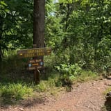 Skippack Creek Loop Trail, Pennsylvania - 4,003 Reviews, Map | AllTrails