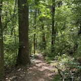 Skippack Creek Loop Trail, Pennsylvania - 4,003 Reviews, Map | AllTrails