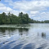 Haggetts Rail Trail to Haggetts Pond, Massachusetts - 409 Reviews, Map ...