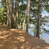 Haggetts Rail Trail to Haggetts Pond, Massachusetts - 409 Reviews, Map ...
