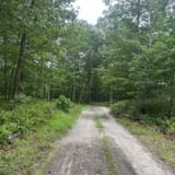 Paumanok Path, New York - 126 Reviews, Map | AllTrails