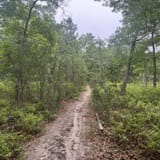 Paumanok Path, New York - 126 Reviews, Map | AllTrails