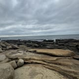 Halibut Point Trail, Massachusetts - 1,514 Reviews, Map | AllTrails