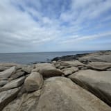 Halibut Point Trail, Massachusetts - 1,514 Reviews, Map | AllTrails