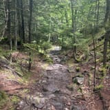 Mount Morgan and Mount Percival Loop, New Hampshire - 3,773 Reviews ...