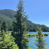 Gold Creek Pond Loop, Washington - 2,680 Reviews, Map | AllTrails