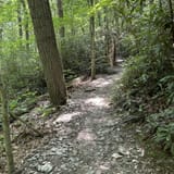 Kelly's Run Loop Trail, Pennsylvania - 3,763 Reviews, Map | AllTrails