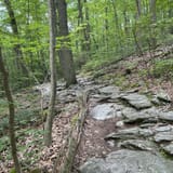 Kelly's Run Loop Trail, Pennsylvania - 3,763 Reviews, Map | AllTrails