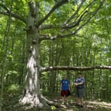 Rocks and Roots South Loop, Ohio - 1,244 Reviews, Map | AllTrails