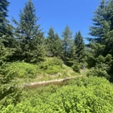 Gold Creek Pond Loop, Washington - 2,680 Reviews, Map | AllTrails