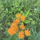 Rocks and Roots South Loop, Ohio - 1,244 Reviews, Map | AllTrails