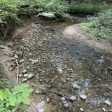 Rocks and Roots South Loop, Ohio - 1,244 Reviews, Map | AllTrails