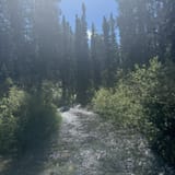 Karst Spring Trail, Alberta, Canada - 996 Reviews, Map | AllTrails