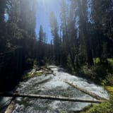 Karst Spring Trail, Alberta, Canada - 988 Reviews, Map | AllTrails