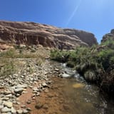 Mill Creek Trail, Utah - 2,911 Reviews, Map | AllTrails