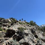 Lower Mill B North Fork Trail, Utah - 1,910 Reviews, Map | AllTrails