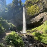 Latourell Falls Loop, Oregon - 7,156 Reviews, Map | AllTrails